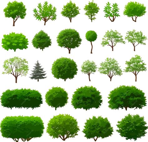 Premium Vector Beautiful Forest Trees Bushes Plants Art Vector