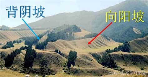 高考地理中的坡向判断没有温度怎么判定阳坡和阴坡 Csdn博客