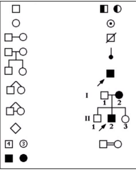 Introduction To Inheritance Mendelian And Multifactorial Conditions Diagram Quizlet