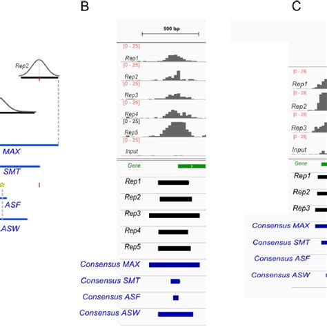 defining the consensus regions for overlapping peaks across replicates download scientific
