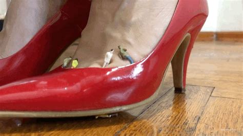 Unaware Office Giantess Crushing Tinies In High Heels Mp4 Hd Pretty