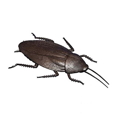 Vintage Jumbo Cockroach 6 Giant Rubber Fake Bug Prank Joke Gag Funny