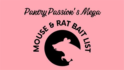 Good Bait For Mouse Traps The Best Foods That Rats And Mice Love Pantry Passion