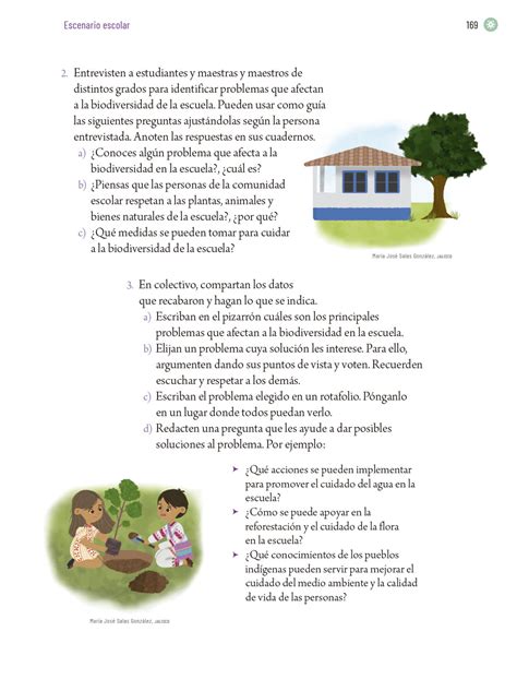 Proyectos Escolares Sexto Grado Libros De Texto Online