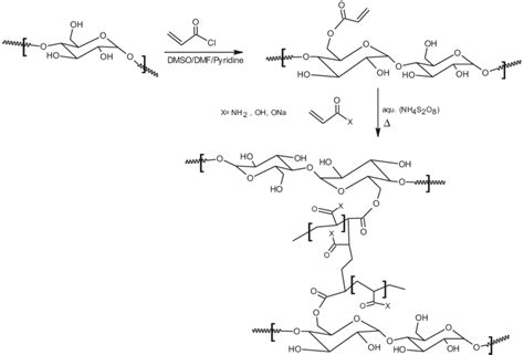 Structure Of Polyacrylic Acid G Starch Download Scientific Diagram