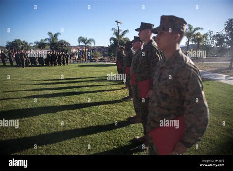 Us Marines With 1st Marine Logistics Group Stand In Formation After