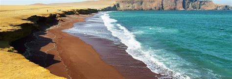 Paracas National Reserve Tours And Activities Civitatis