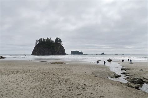 Which La Push Beach Is Best Guide To All Three Beaches 2024 Sand