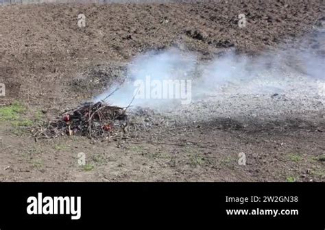 Burning A Pile Of Garbage From Leaves And Dry Grass After Cleaning The Yard In The Spring