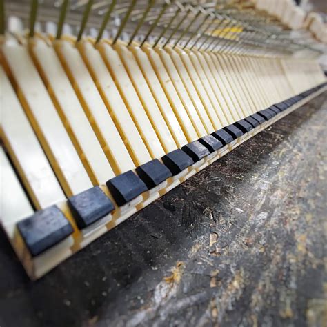 Hammer Tips Erneuern Fender Rhodes Tines And Reeds