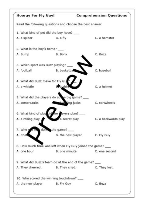 Hooray For Fly Guy Book 6 Worksheets Made By Teachers