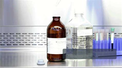 通过密度梯度离心从全血中分离单核细胞高清1080p在线观看平台腾讯视频