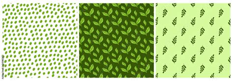 Tea Leaf Organic Seamless Pattern Set Floral Design Template For