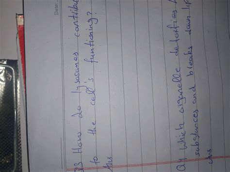 Q3 How Do Lysosomes Contribute To The Cells Studyx