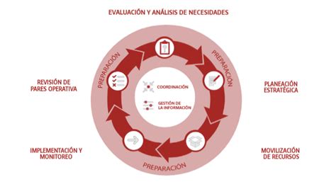 Ciclo Del Programa Humanitario