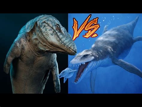Liopleurodon Size Comparison