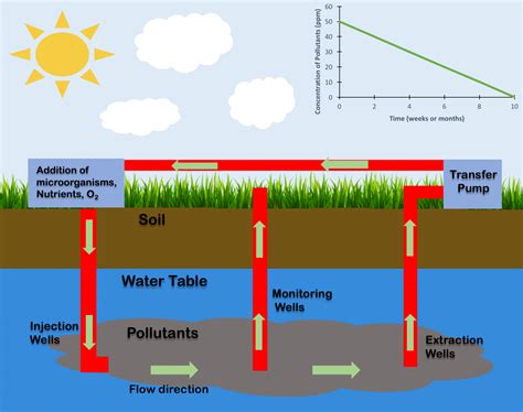 What Is The Need For Bioremediation Sigma Earth