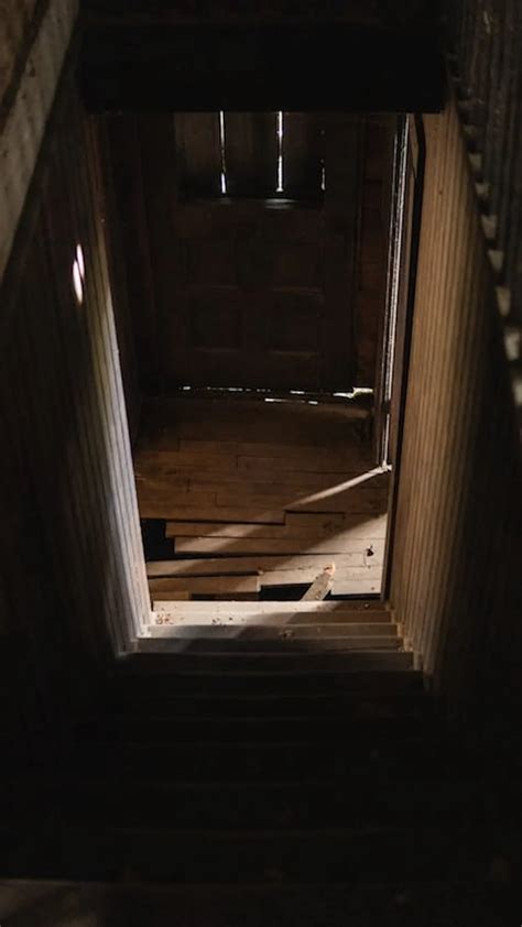 Su Mirada Por Shekinah Lynnette La Corcheta