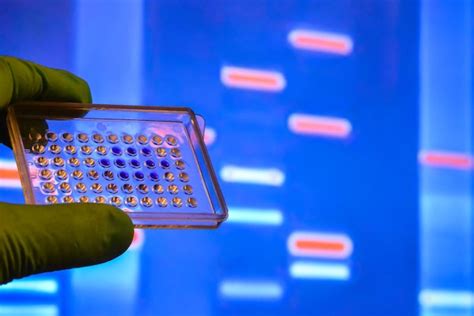 Premium Photo Laboratory Dna Testing