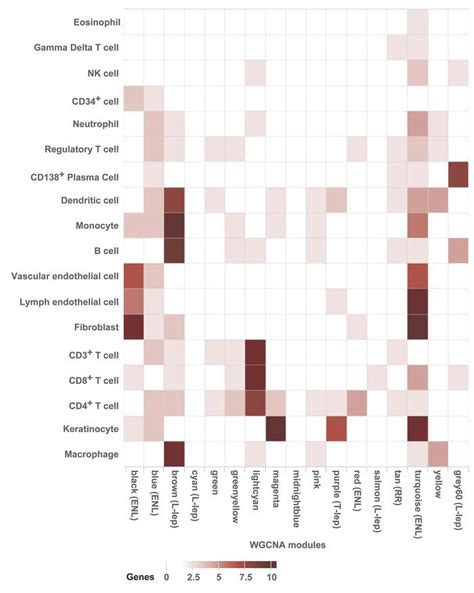 Jci Insight Cell Type Deconvolution With Immune Pathways Identifies