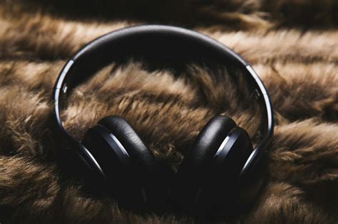 understanding the basics of noise reduction 2024 updated guide
