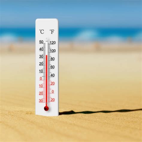Thermal Equilibrium A Detailed Explanation