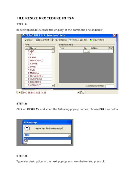 File Resize Procedure In T24 Pdf