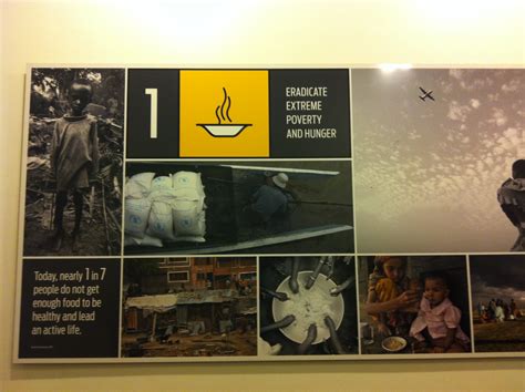 Food Insecurity In The World Food And The World