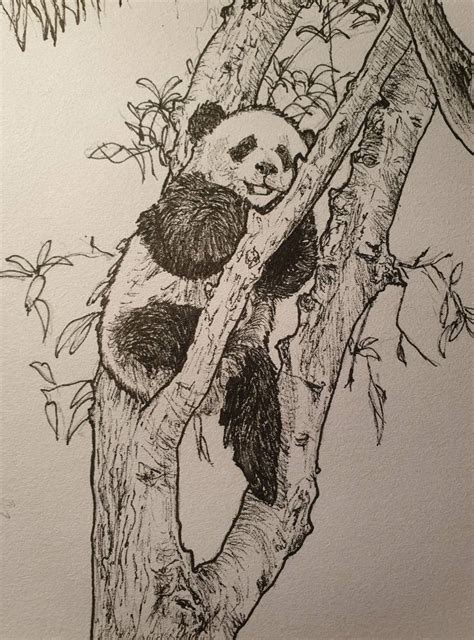 How To Draw A Panda • Inspiration · Sketch A Day