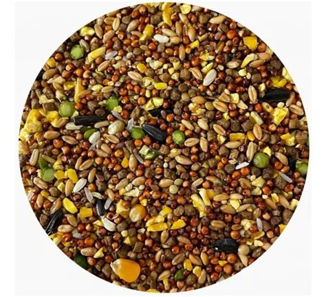 Alimento Gallo De Oro Mantenimiento Bulto 5kgs Mercadolibre