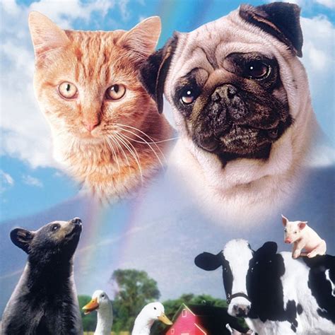 Watch The Adventures Of Milo And Otis 1986 Full Movie Online Plex