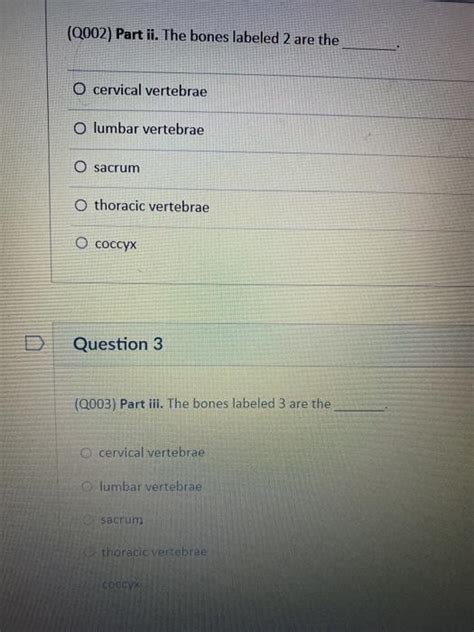 solved lab exercise image library 173 exercise 3 vertebral