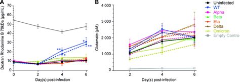 Wt Virus Increases Bbb Permeability While Wt Alpha Delta Eta And
