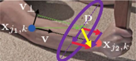 Paf On Multiple Overlapped Limbs P Is The Point Where The Unit Vector