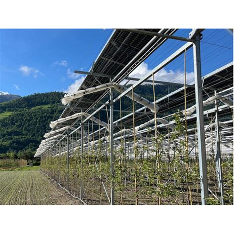 Agrivoltaics For Cherries Setpile