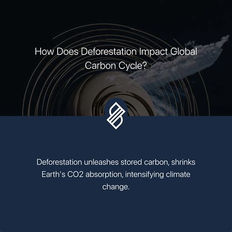 How Does Deforestation Impact Global Carbon Cycle → Question