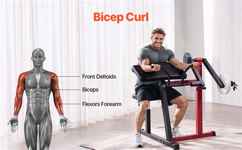 2 In 1 Preacher Curl Bench Bicep Curls And Triceps Extension Machine