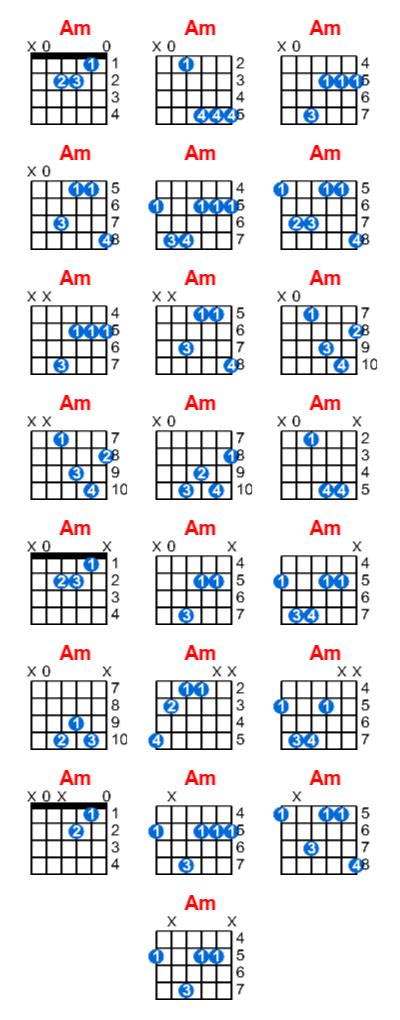 Am Guitar Chord Meta Chords