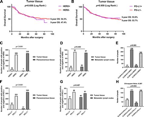 A Kaplan‒meier Os Curves Of Gc Patients With Different Her2 Levels In Download Scientific