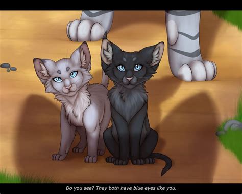 Warriors Cats Wallpapers