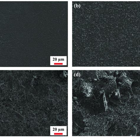 Surface Morphologies After Oxidation For Time Of 100 H At Temperatures Download Scientific Surface Morphologies After Oxidation For Time Of 100 H At Temperatures Download Scientific