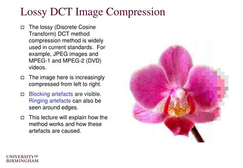 PPT Multimedia Data The DCT And JPEG Image Compression PowerPoint Presentation ID