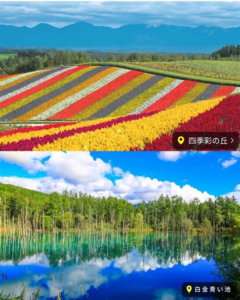 Hokkaido 】 Biei Furano Kushiro Greedy Drive Course Model Course With Map Gallery Posted By