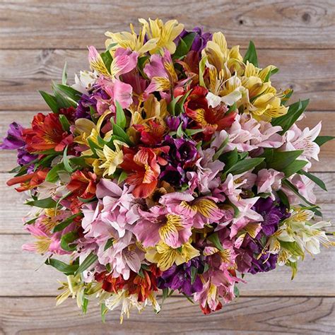 Rainbow Peruvian Lilies Bouquet Colorful Lilies Arrangement The