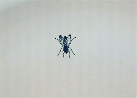 Vtg Robert Steffy San Francisco Enamelware Bagatelle Fly Plate Cup