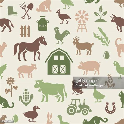 Doves Pattern Photos And Premium High Res Pictures Getty Images