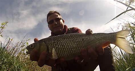 Les Teignes Sont De Sortie