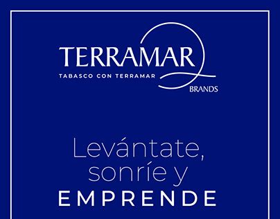 Terramar Dragonhunter Projects Photos Videos Logos Illustrations