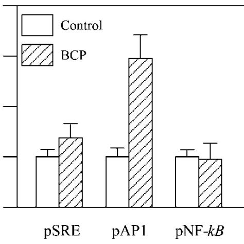 Bcp Crystals Induced The Reporter Activities Of Psre And Pap 1 Flss Download Scientific
