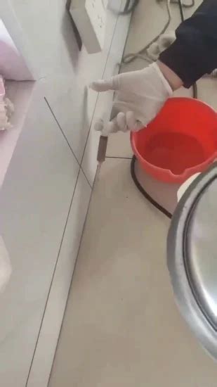 Factory Medicine Cockroach Bait Cockroach Gel Bait Injection Kill Cockroach And Gel Bait